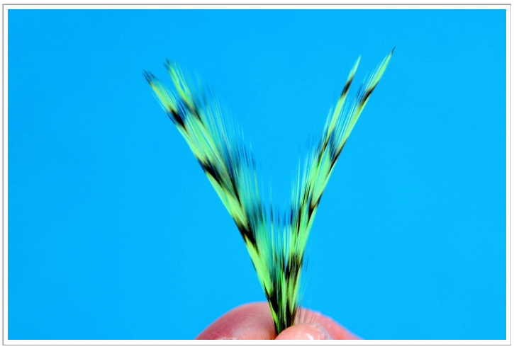 Fly Tying Tips - How to Apply Feathers Fly Tying Recipes & Patterns