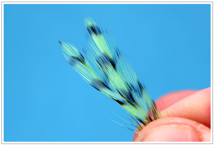 Fly Tying Tips Matching Feathers Fly Tying Recipes Patterns