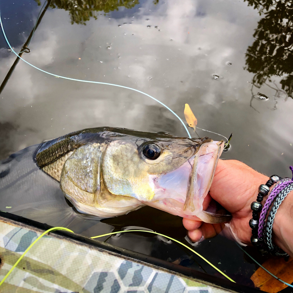 Best SUP Fly Fishing Gear Setup after 1000 days of paddle board fishing