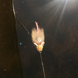 7 Best of the Best Largemouth Bass Flies Fly Tying Recipes & Patterns